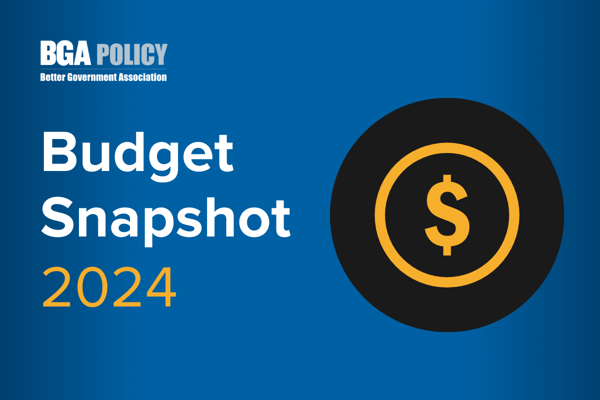 City of Chicago 2024 Budget Snapshots - Better Government Association